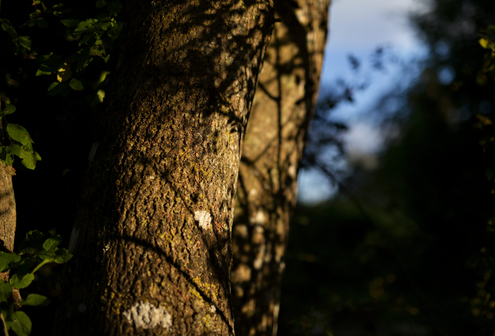 KONTAKT - Landsforeningen For Økosamfund